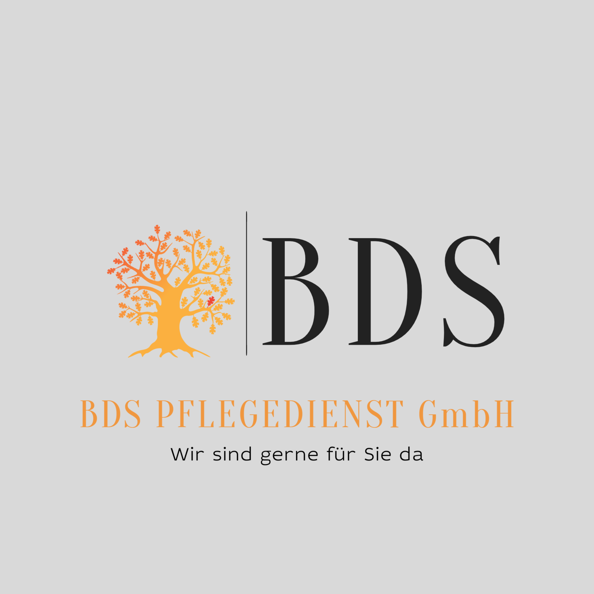 BDS Pflegedienst GmbH - Krankenhausvermeidungspflege